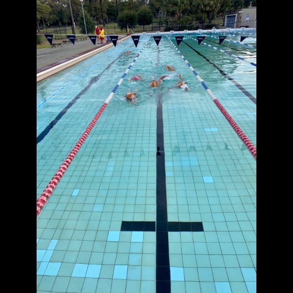 CanToo Foundation - Judy Sherry