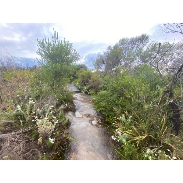 Can Too Foundation - Gary Worrell